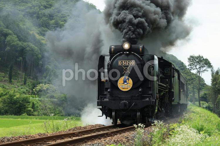 SLやまぐち号 D51 - No: 33366129｜写真素材なら「写真AC」無料（フリー）ダウンロードOK