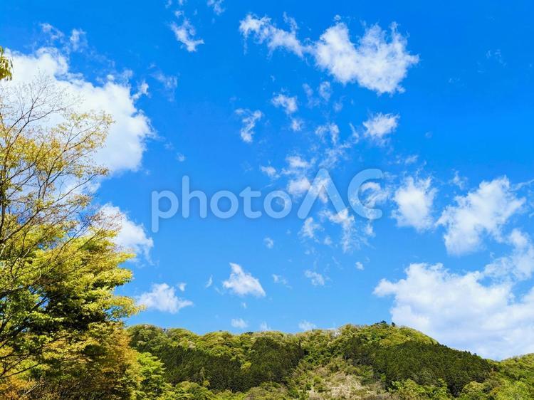 新緑と青空の風景壁紙 No 26443727|写真素材なら「写真ac」無料(フリー)ダウンロードok