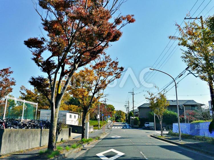 Free Photos | Senri New Town in late autumn